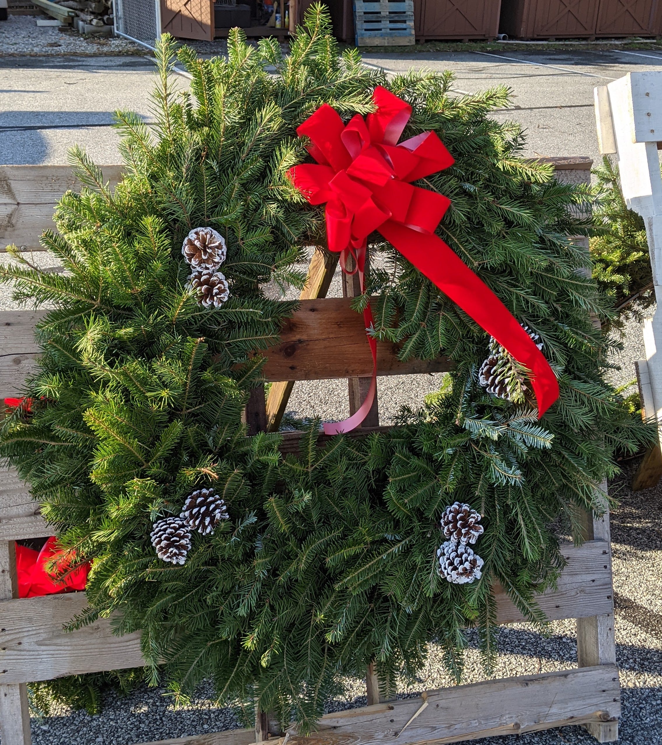 Christmas Wreaths - Available to order October 18th to November 19th ...